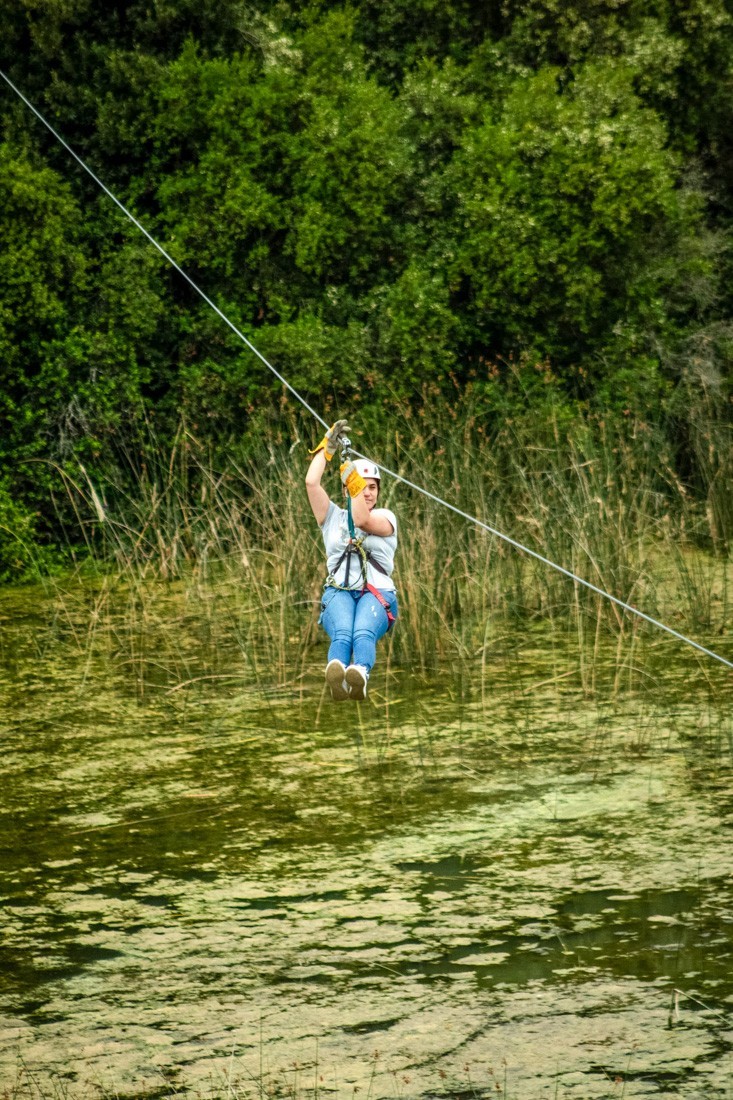 Canopy Bío Bío entre árboles nativos | Aventura | Chiletur