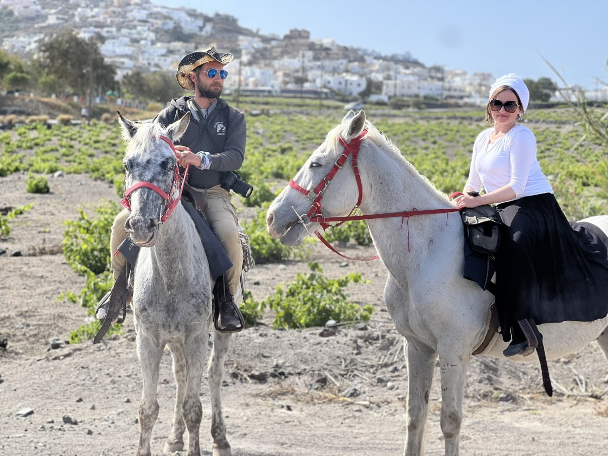 Book online: Santorini: Private Tailormade Tour with Local Driver ...