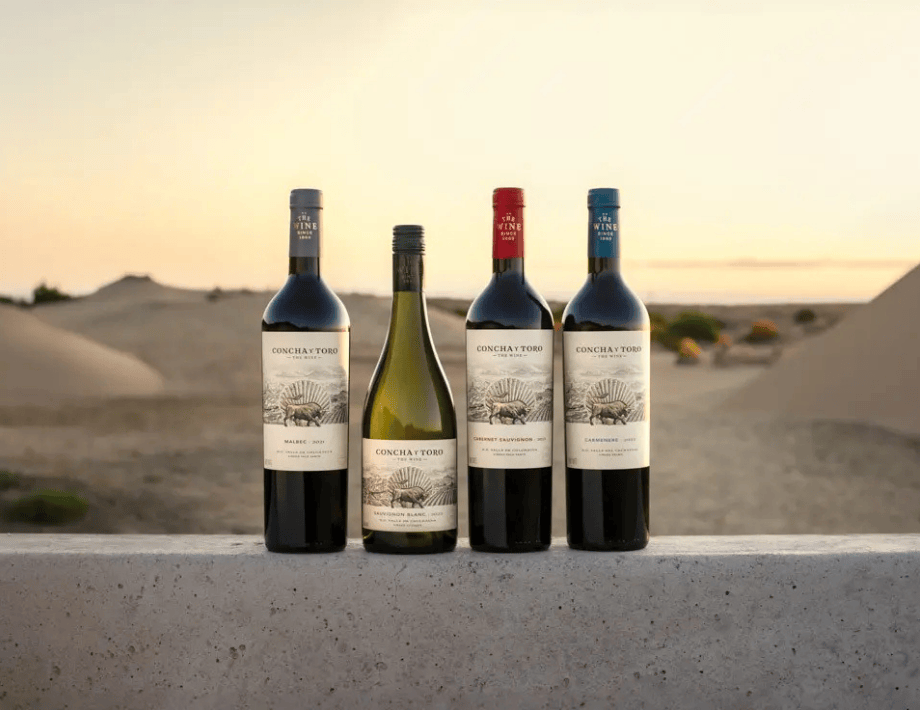 The New Wines Concha y Toro | Activities | Chiletur