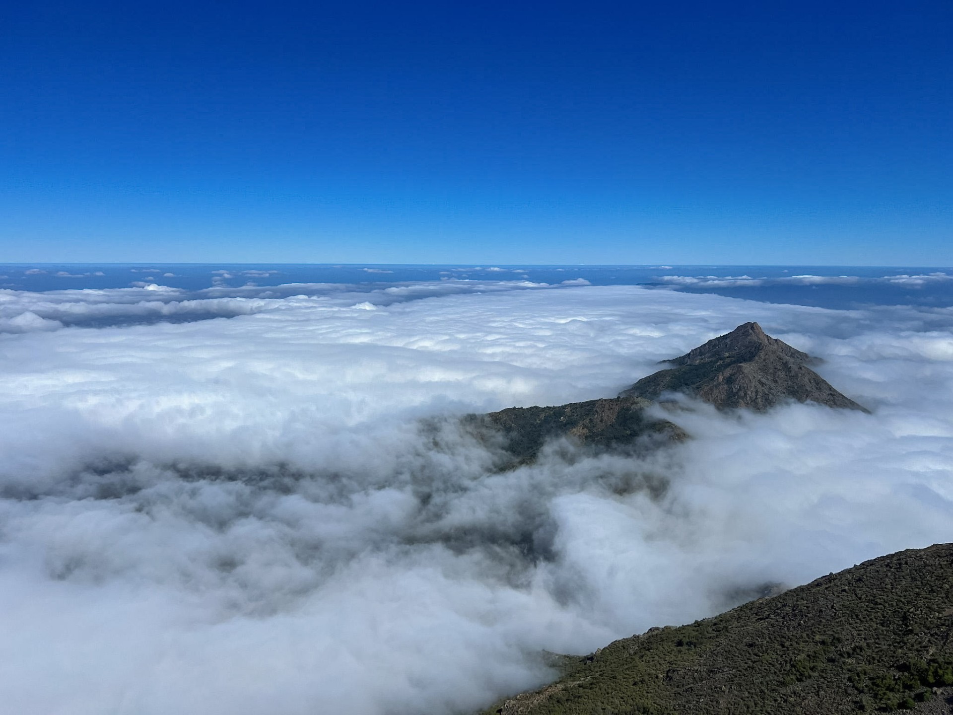 Cumbre Cerro La Campana | Trekking en Olmué | Chiletur