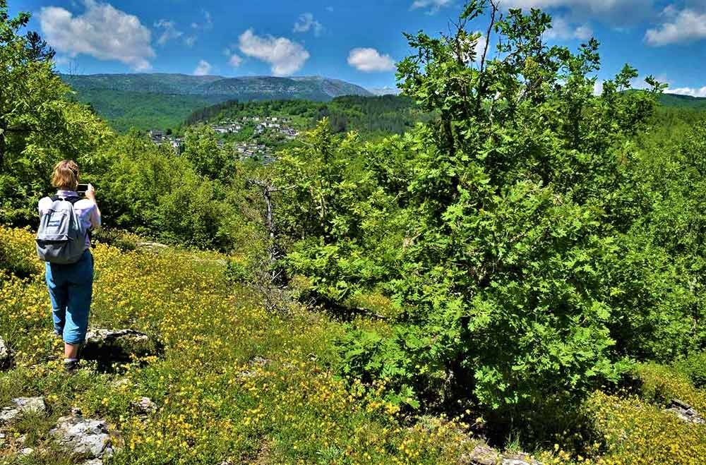 Book online: Zagori: Merchants Trail Hiking Tour | Discover Greece