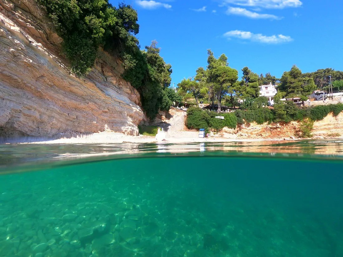 Book online: Desde Skopelos: Explora el área del parque marino ...